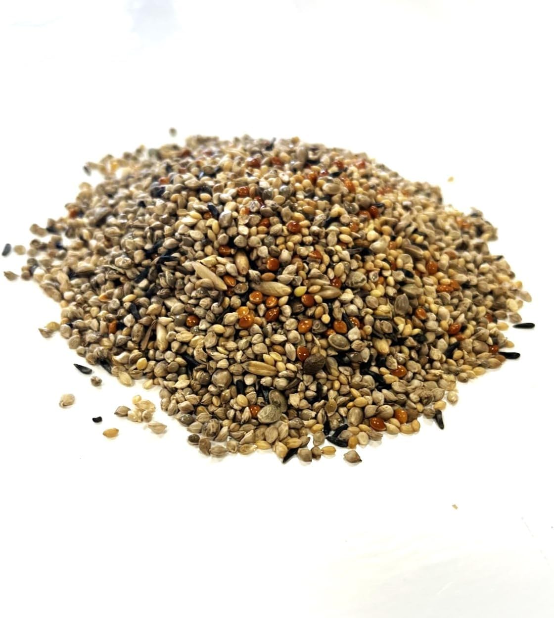 1kg BUDGIE TONIC SEED MIXED CAGE BIRD FOOD LJJ : Amazon.co.uk: Pet Supplies