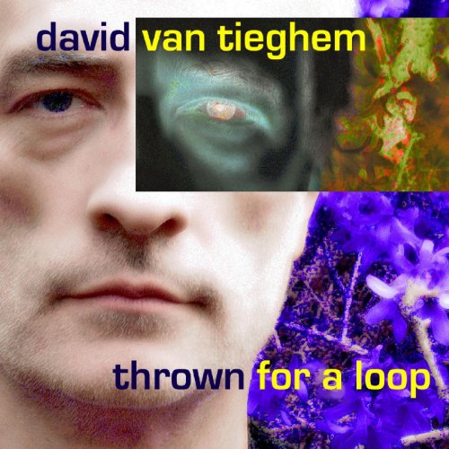 Amazon.com: Thrown for a Loop : David Van Tieghem: Digital Music