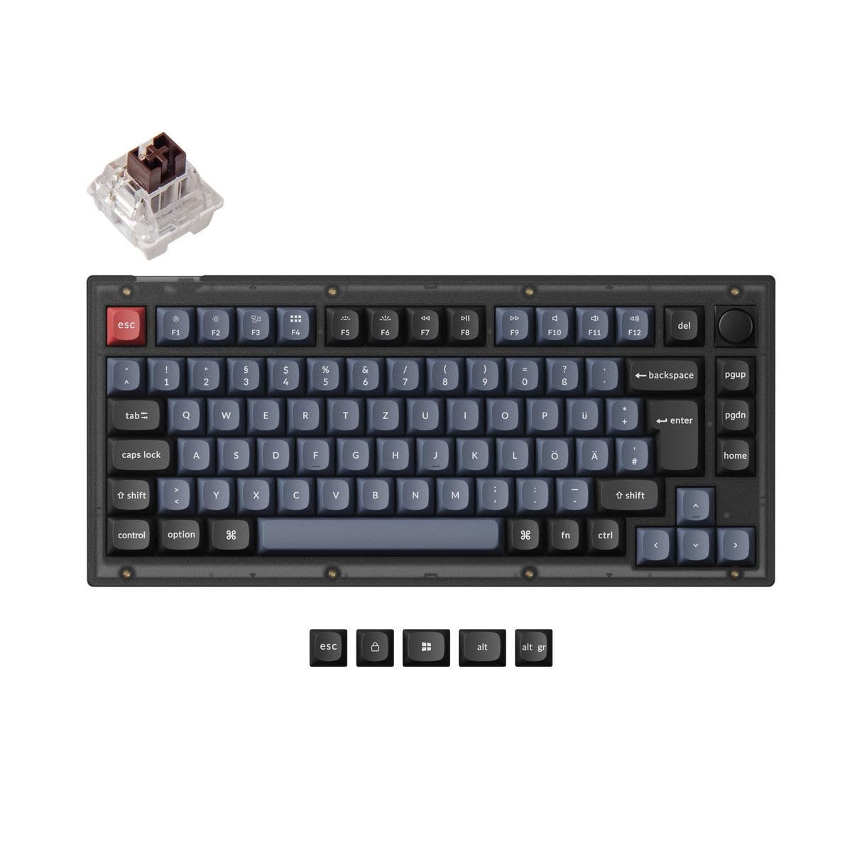 Keychron V1 Wired Mechanical Keyboard with Knobs 75% German DE ISO ...