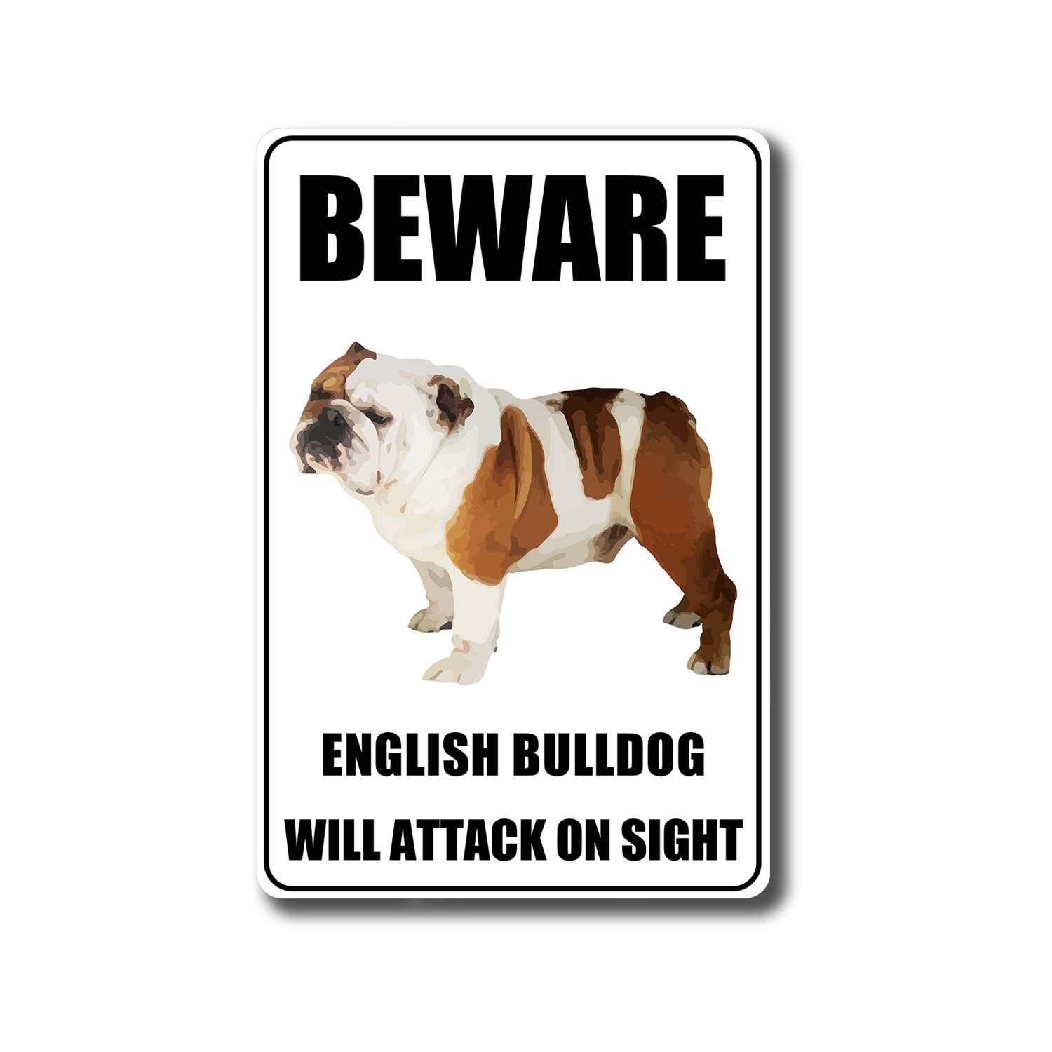 English Bulldog Attack