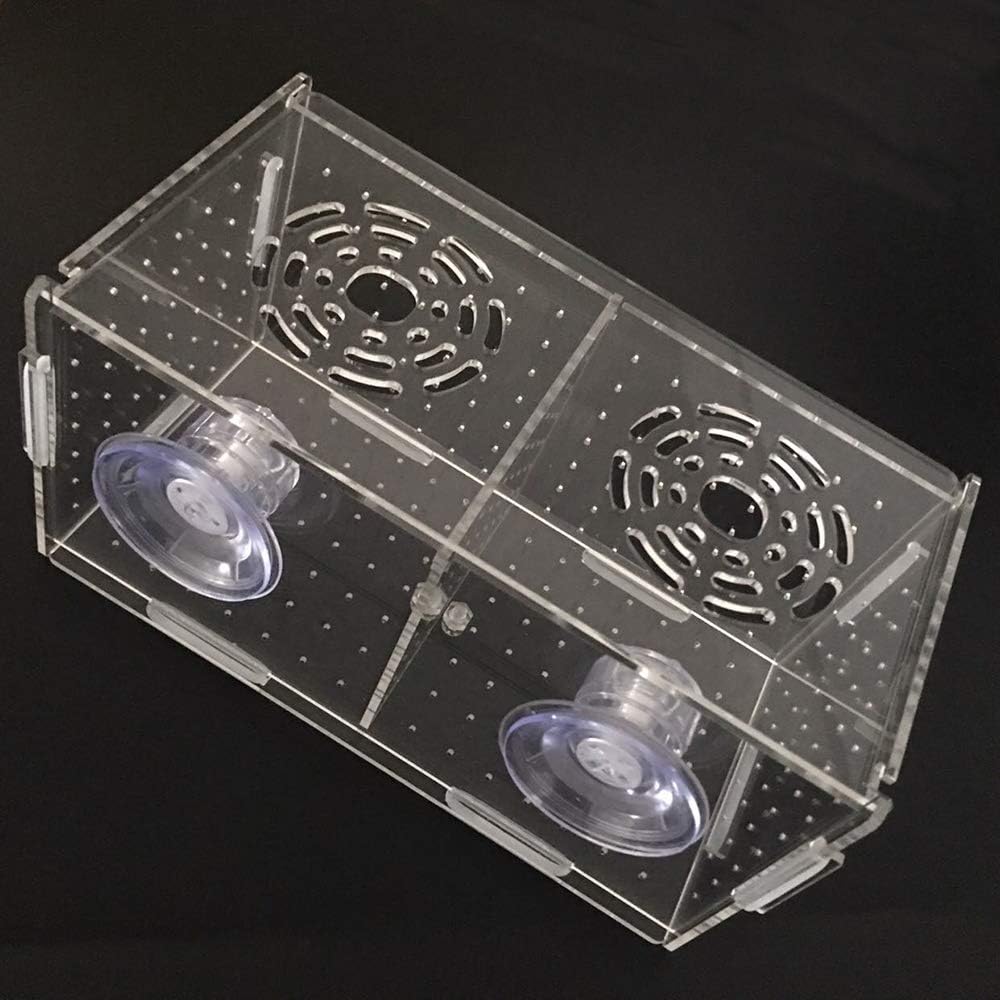 Amazon.com : J-star Extra Large Fish Breeder Box, Acrylic Aquarium ...