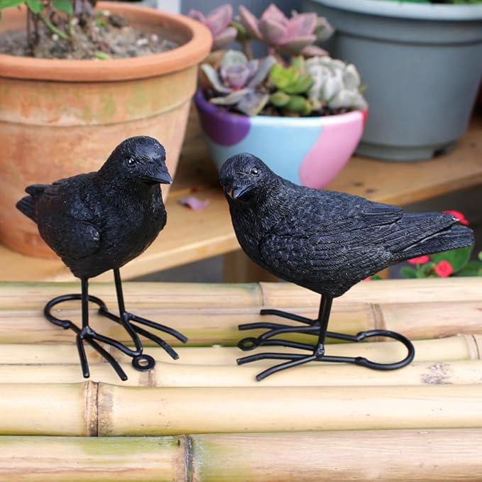 Amazon.com : CCUUHJ 2 Pack Realistic Crows Lifesize Handmade Resin ...