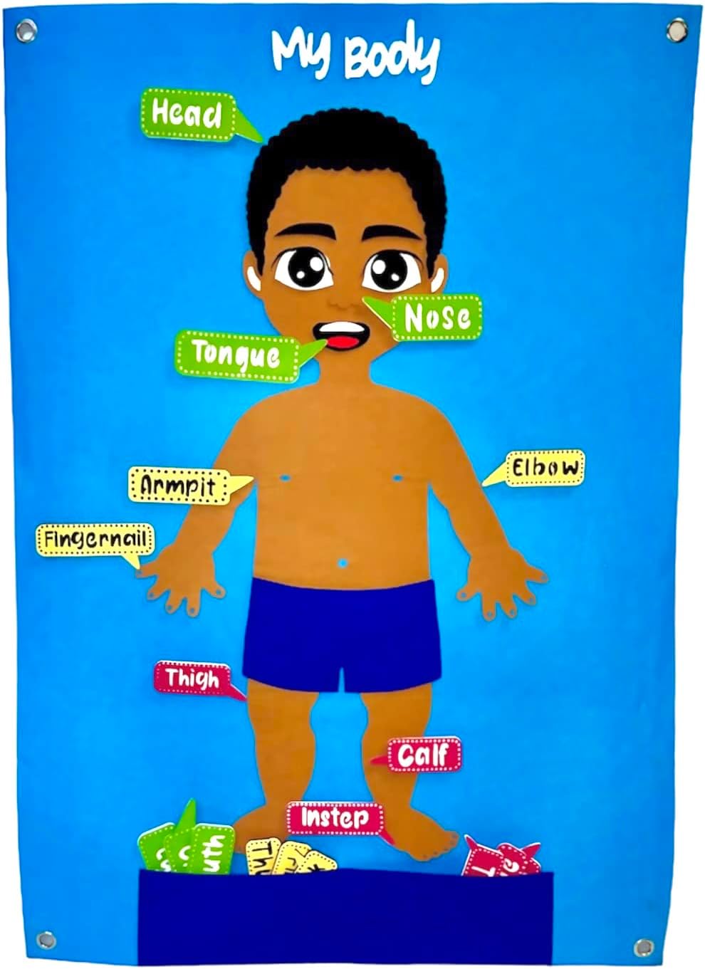 Amazon.com: Tenacious Activities Educational Montessori Felt Body ...