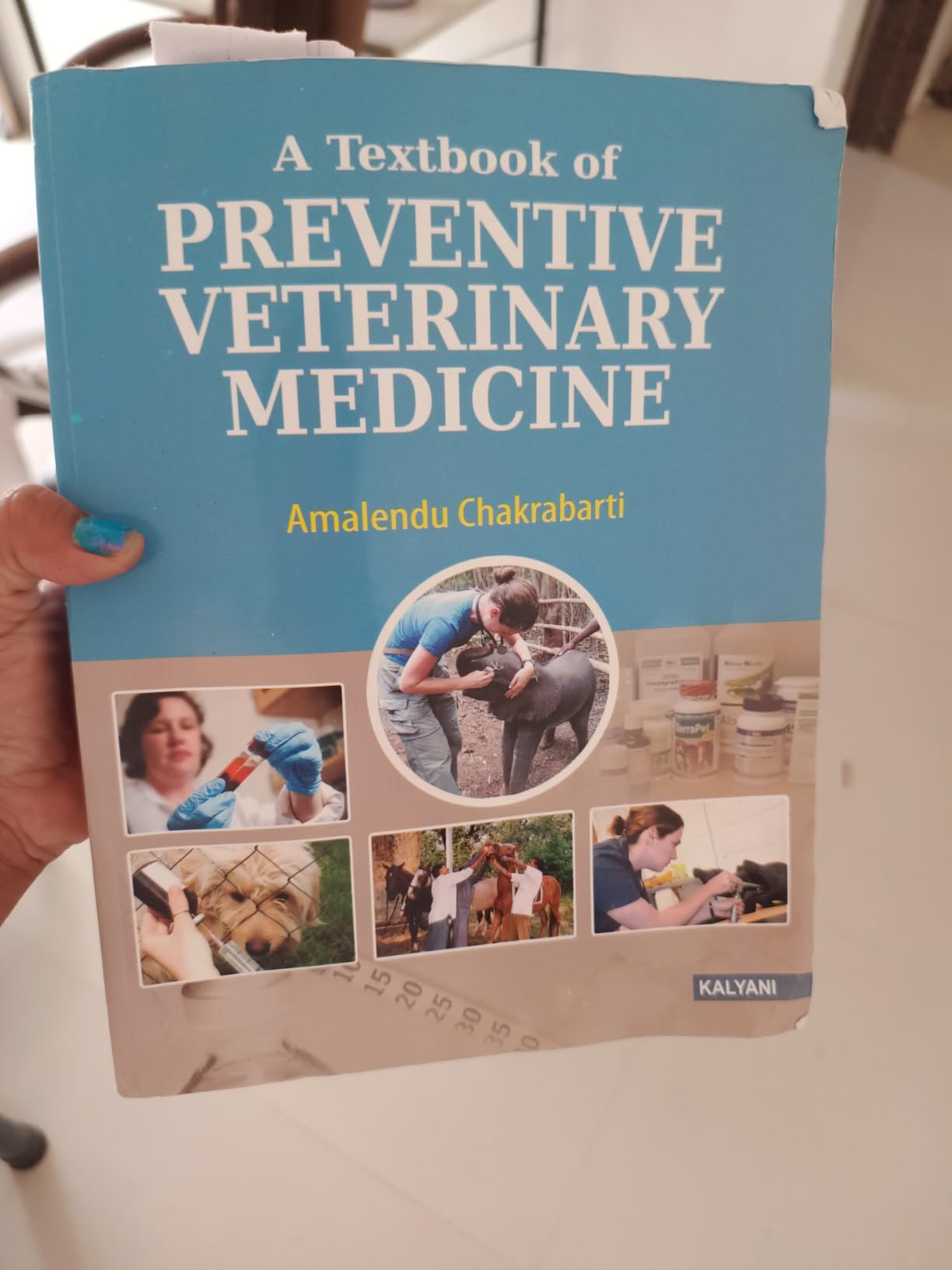 Buy A Textbook of Preventive Veterinary Medicine Book Online at Low ...