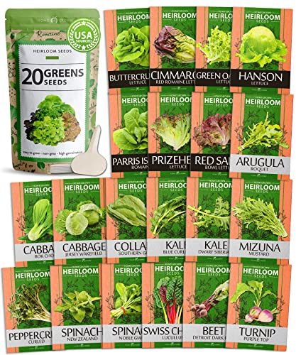 10,000+ Heirloom Lettuce Seeds for Planting Indoors - 95% Germination ...