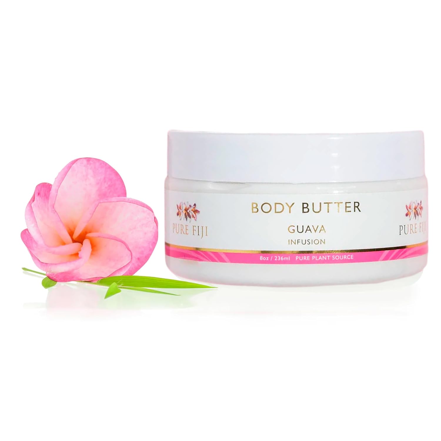 Amazon.com : PURE FIJI Body Butter - Moisturizer Body Butter Cream ...