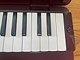Amazon.com: Yamaha, 37-Key Melodica (P37D) : Everything Else