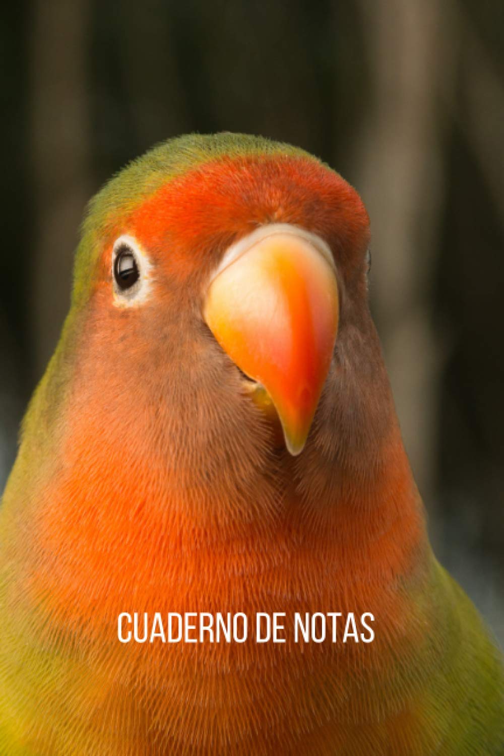 Buy Cuaderno de notas Loros inseparables: Diario de composición con ...