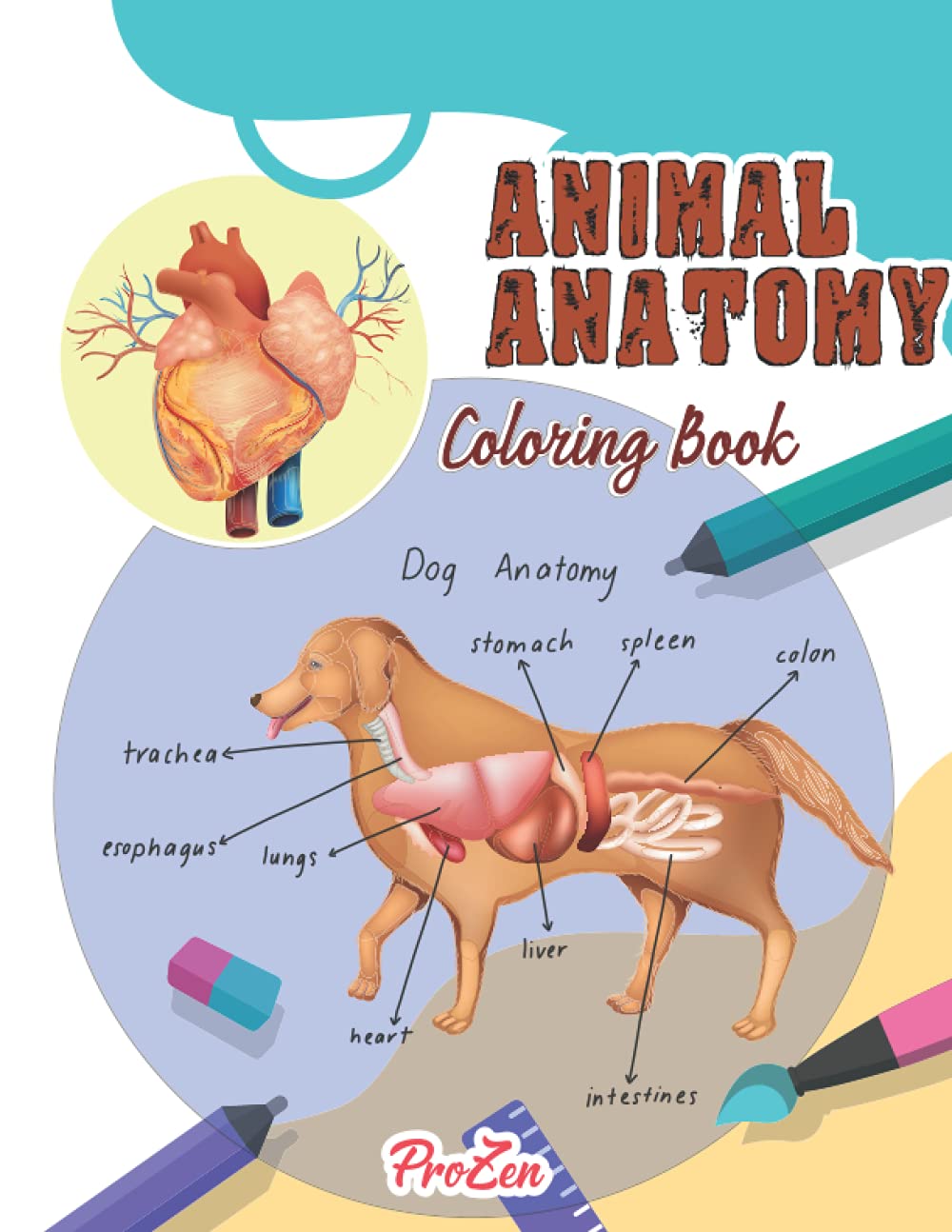 Buy Animal Anatomy Coloring Book, 1st Edition: An Anatomy Book of ...