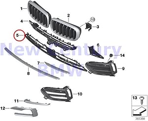 Amazon.com: Genuine BMW X6 F16 Front Bumper Center Lower Open Grille ...