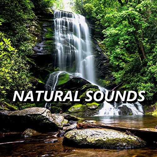 Play Natural Sounds by Life Sounds Nature on Amazon Music