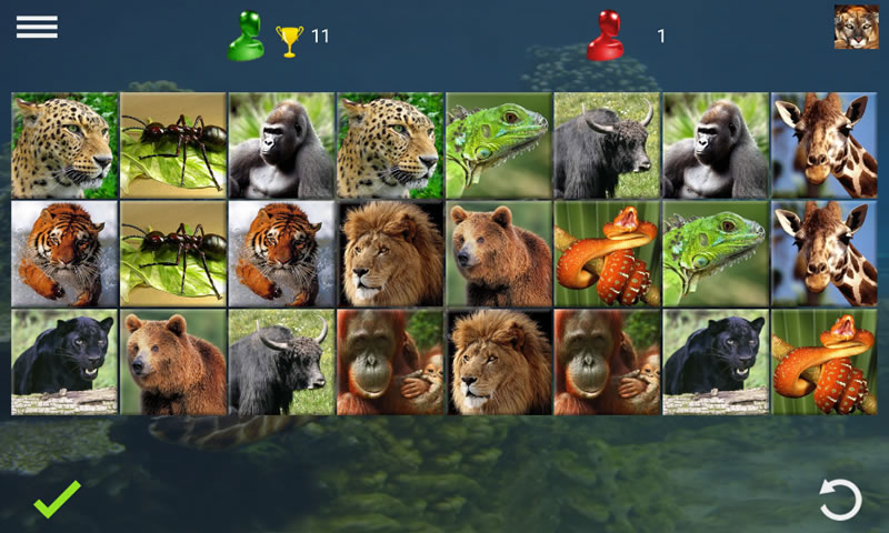 Animals Memory Game - App on Amazon Appstore