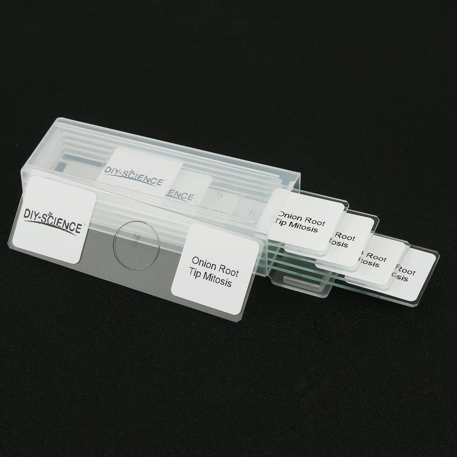 Snapklik.com : Onion Root Tips Cell Mitosis Microscope Slides Set, 5pcs ...