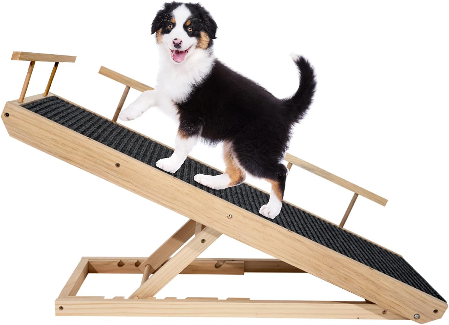 Amazon.com : Rampaw Adjustable Pet Ramp for Small Dogs and Cats - for ...