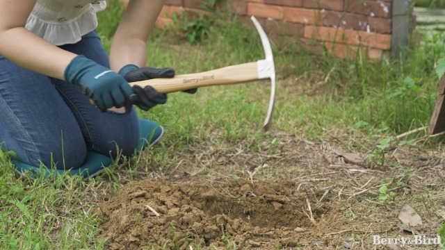 Watch Garden Pick Mattock Hoe on Amazon Live