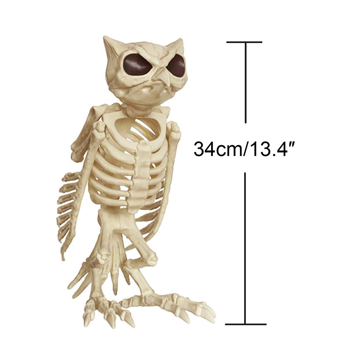 Owl Skeleton Illustration