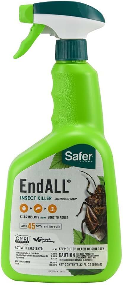 Amazon.com: reclaim it insecticide
