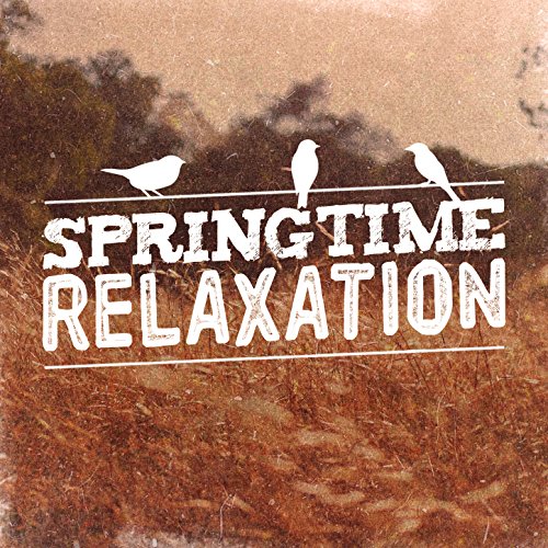 Amazon.com: Springtime Relaxation : deep sleep music club, Relaxing ...