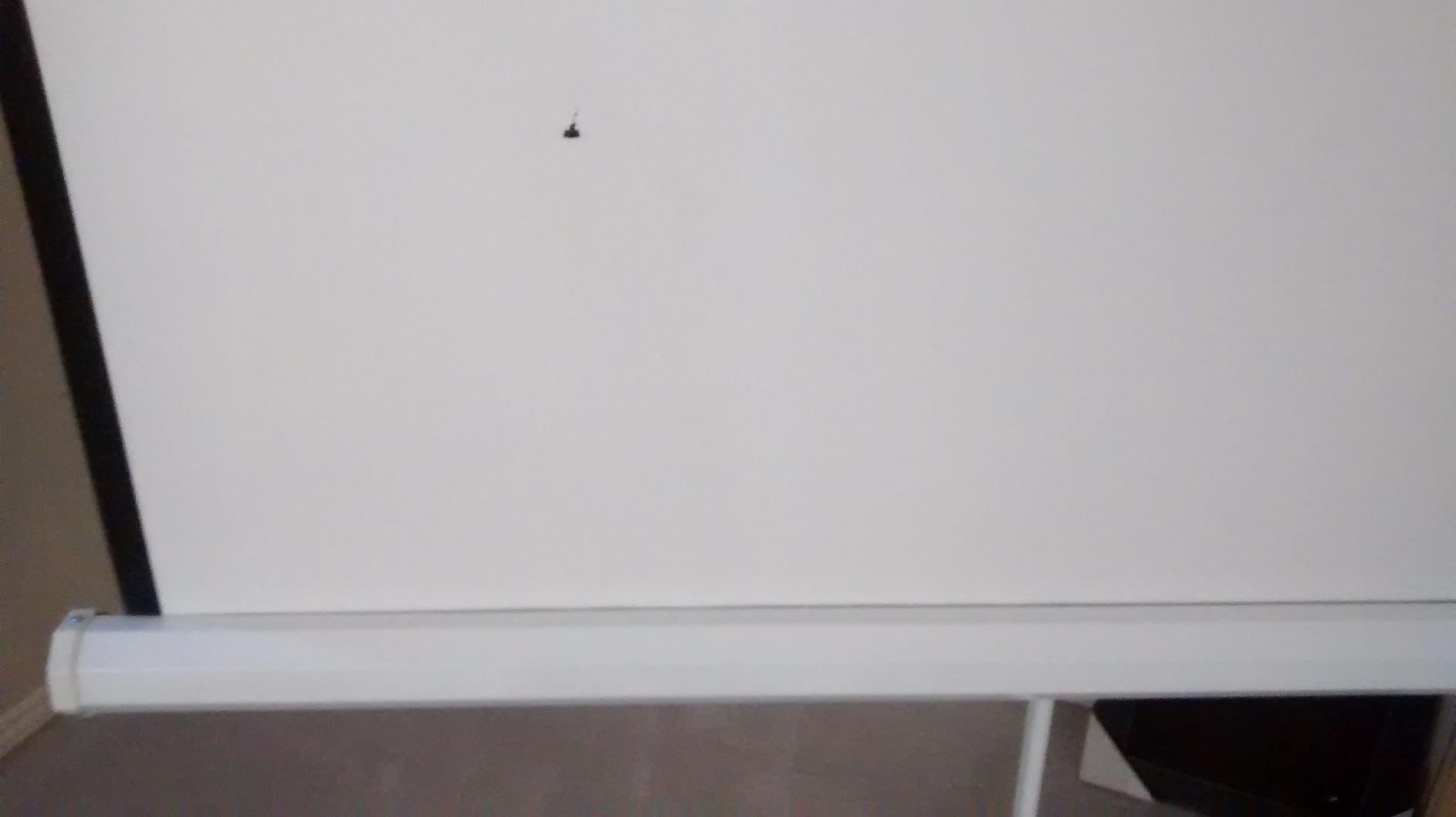 Amazon.com: 80" Inch Diagonal 4:3 Portable Pull up Floor Projector ...