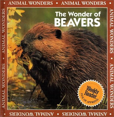 The Wonder of Beavers (Animal Wonders) by Bauman, Amy, Corrigan ...
