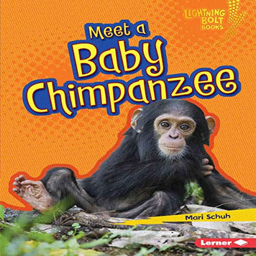 Meet a Baby Chimpanzee (Audio Download): Mari Schuh, Intuitive, Lerner ...