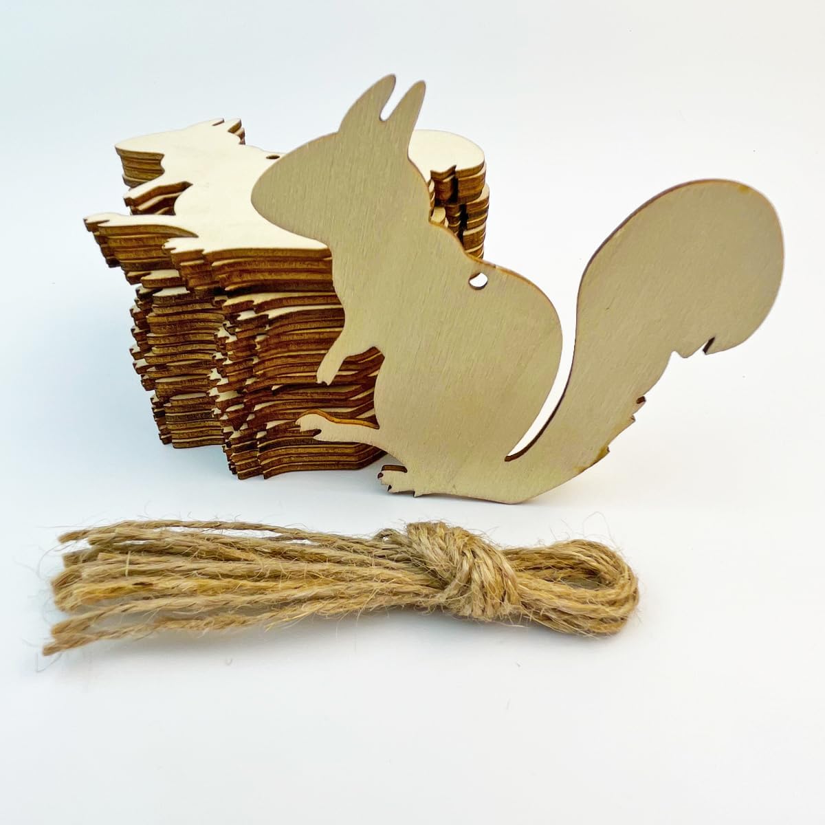 Amazon.com: 30 Pieces Unfinished Squirrel Wood Cut Out Squirrel Wood ...