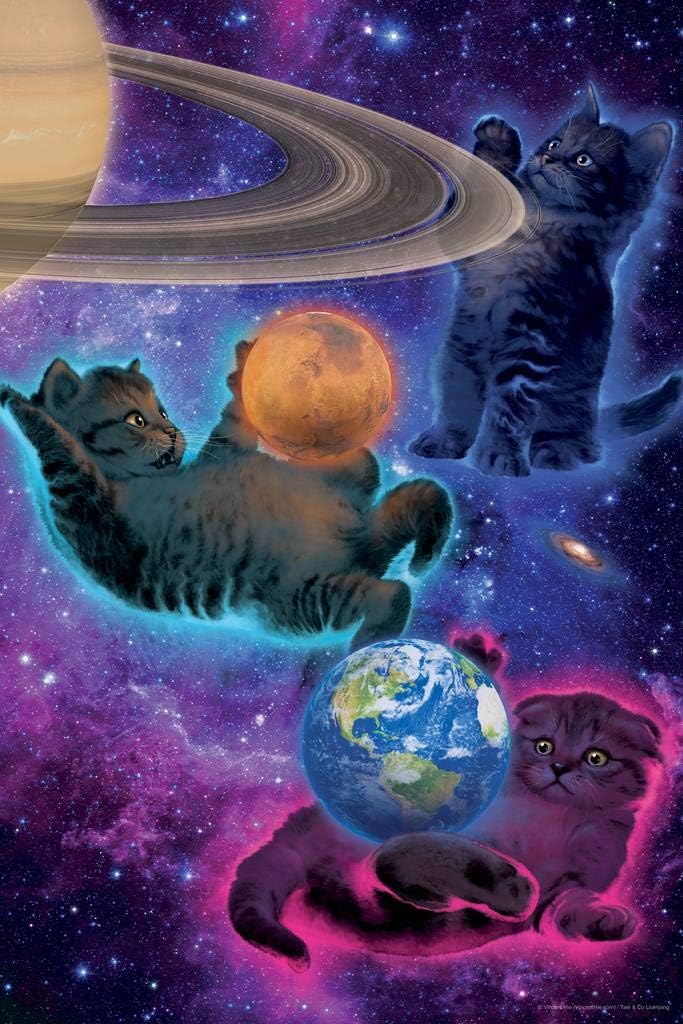Amazon.com: Cosmic Kittens Floating Outer Space Cats by Vincent Hie ...