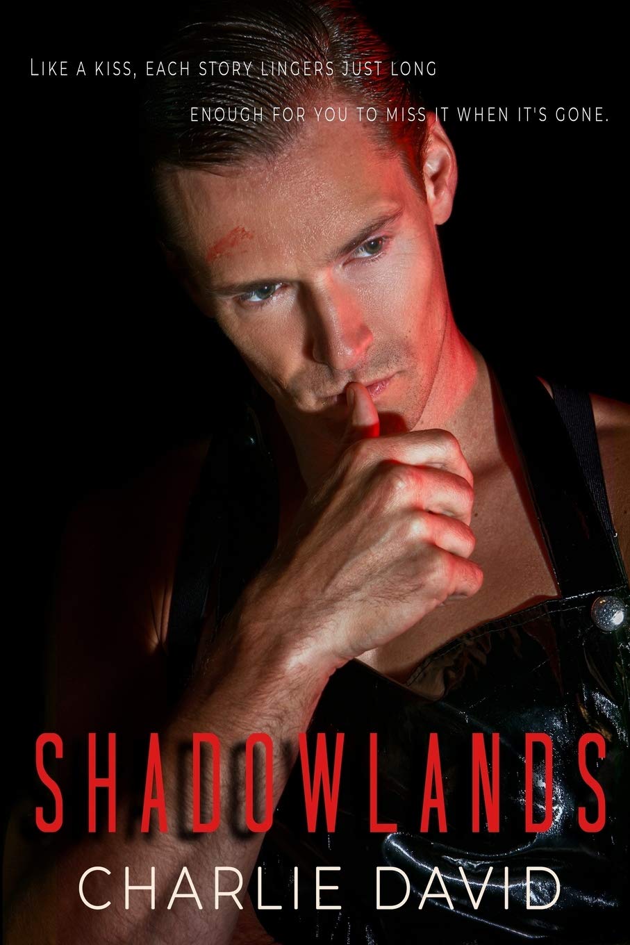 Amazon.com: Shadowlands: 9781453604670: David, Charlie: Books