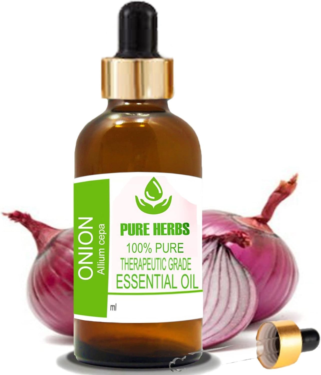 Pure Herbs Onion ( Allium Cepa ) Essential Oils (30ml) : Amazon.co.uk ...