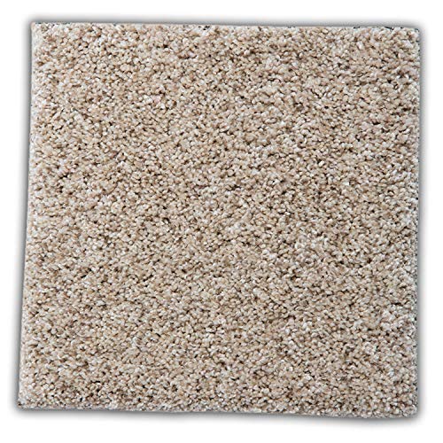 Top 10 Best Carpet Samples Free Swatches : Reviews & Buying Guide - Katynel