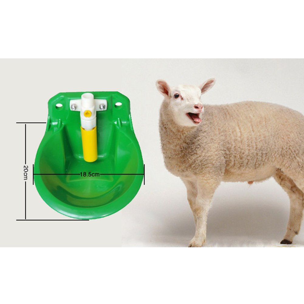 1.05 Gallon Automatic Drinker Automatic Livestock Water Bowl 1.05 ...