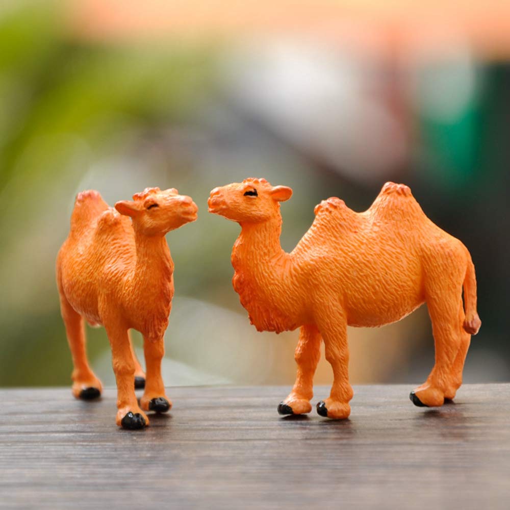 Camel Theme Party Decorations