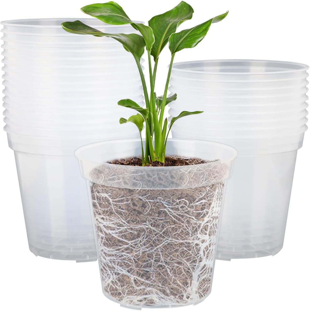 Amazon.com: IHDYPPEW 25 Pack 6 Inch Clear Nursery Pots, Transparent ...