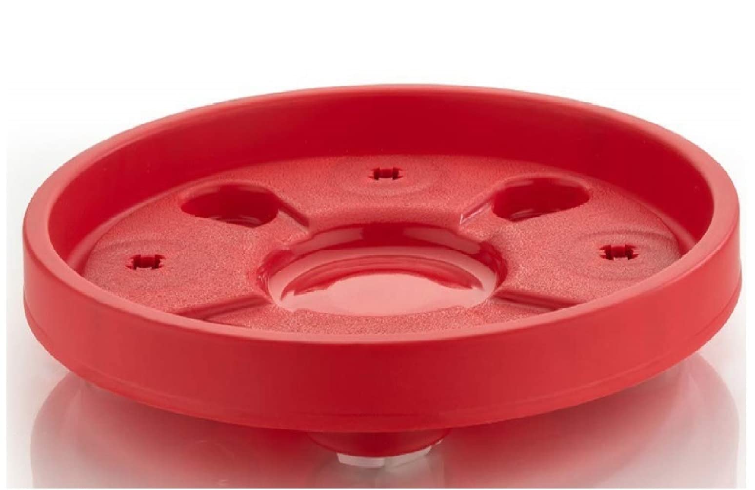 Buy DeeZ - Style with elegance Trolly/Lpg Cylinder Stand Plastic ...