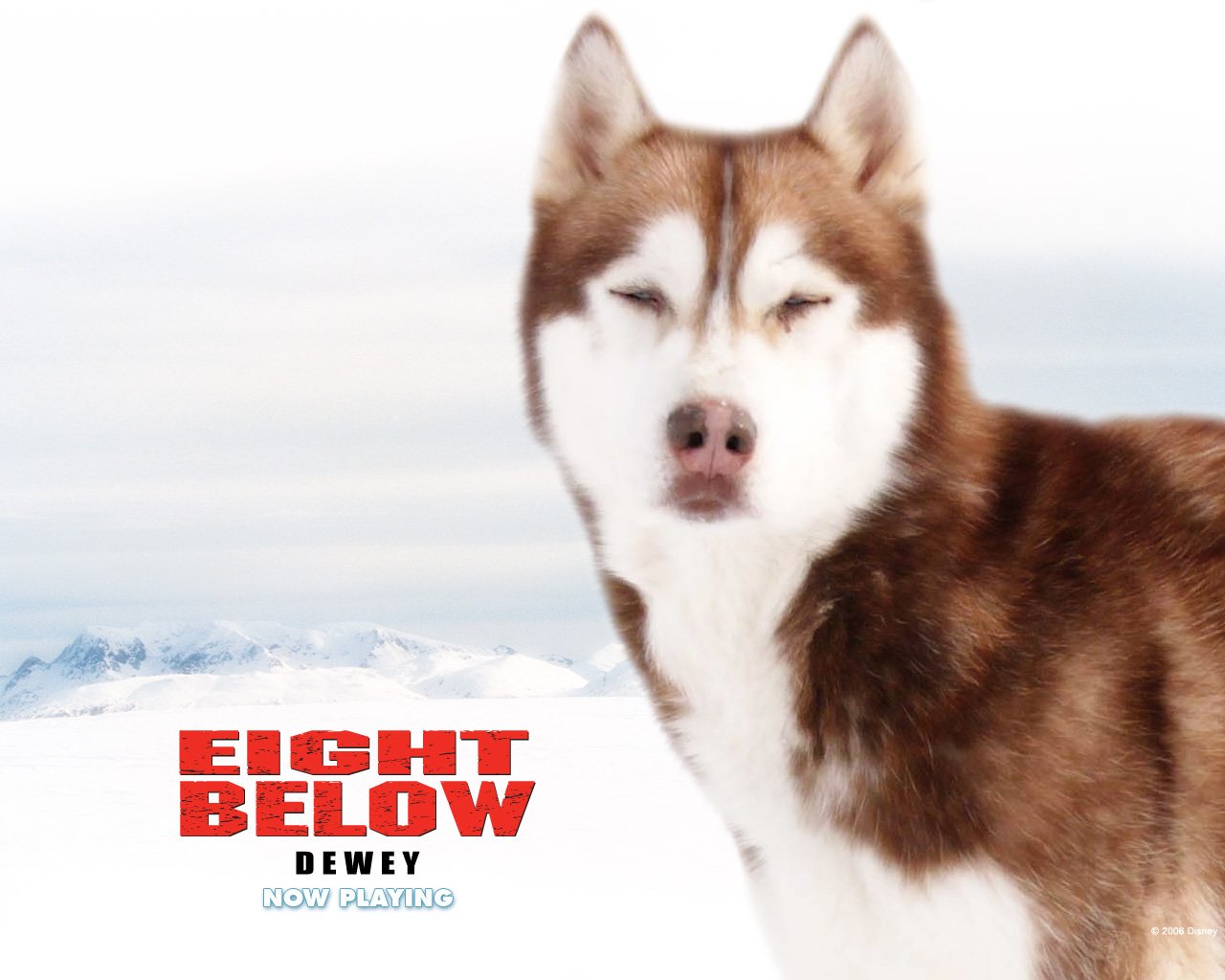Eight Below Wallpaper