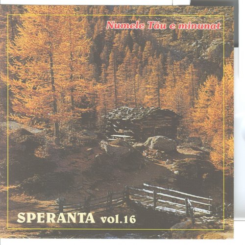 Amazon.com: Speranta, Vol. 16 (Numele Tau e minunat) : Speranta ...