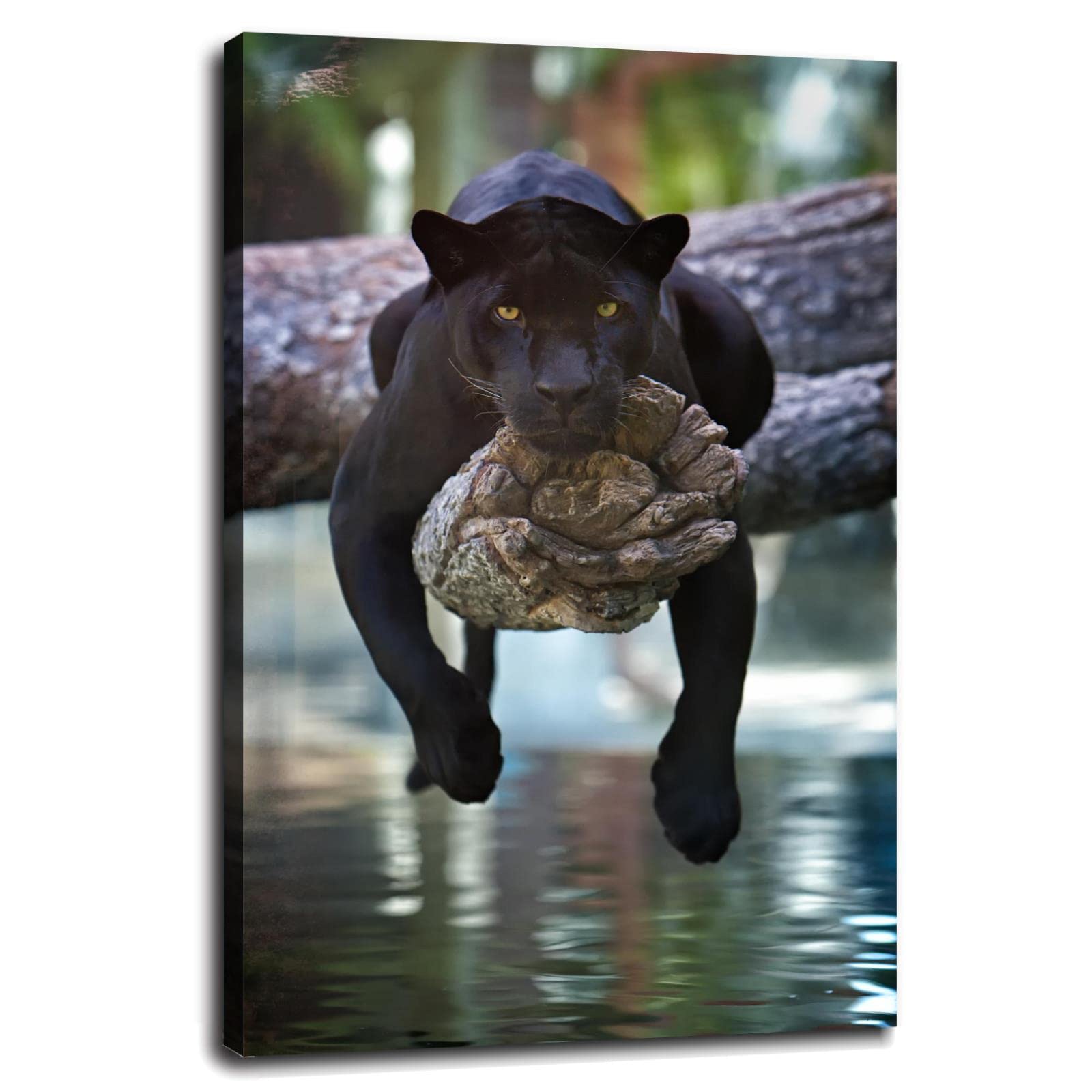 Black Jaguar In A Tree