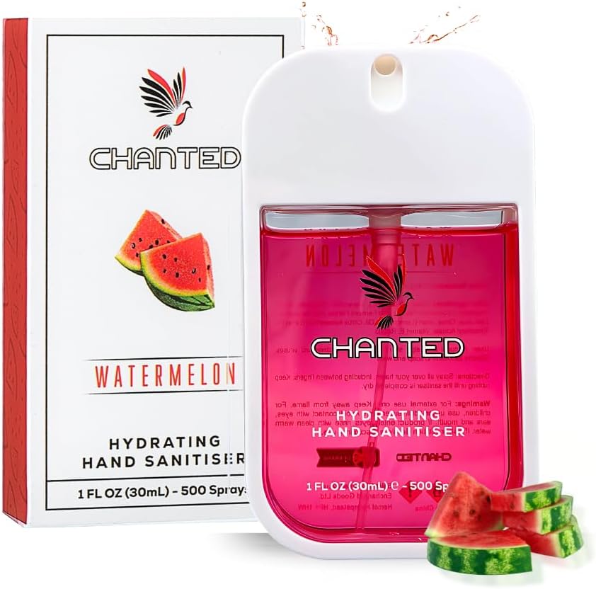 Chanted Mini Hydrating Hand Sanitiser Spray | Travel size 30ml ...