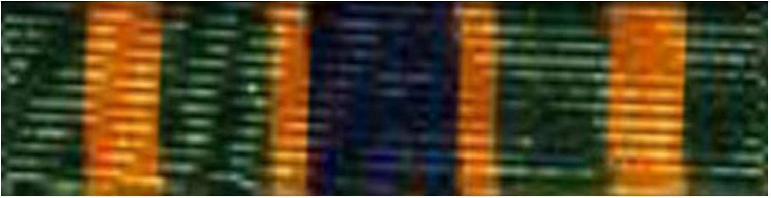 Amazon.com: HMC Army NCO Development-Ribbon: Sports Award Medals ...