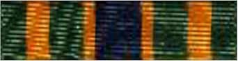 Amazon.com: HMC Army NCO Development-Ribbon: Sports Award Medals ...
