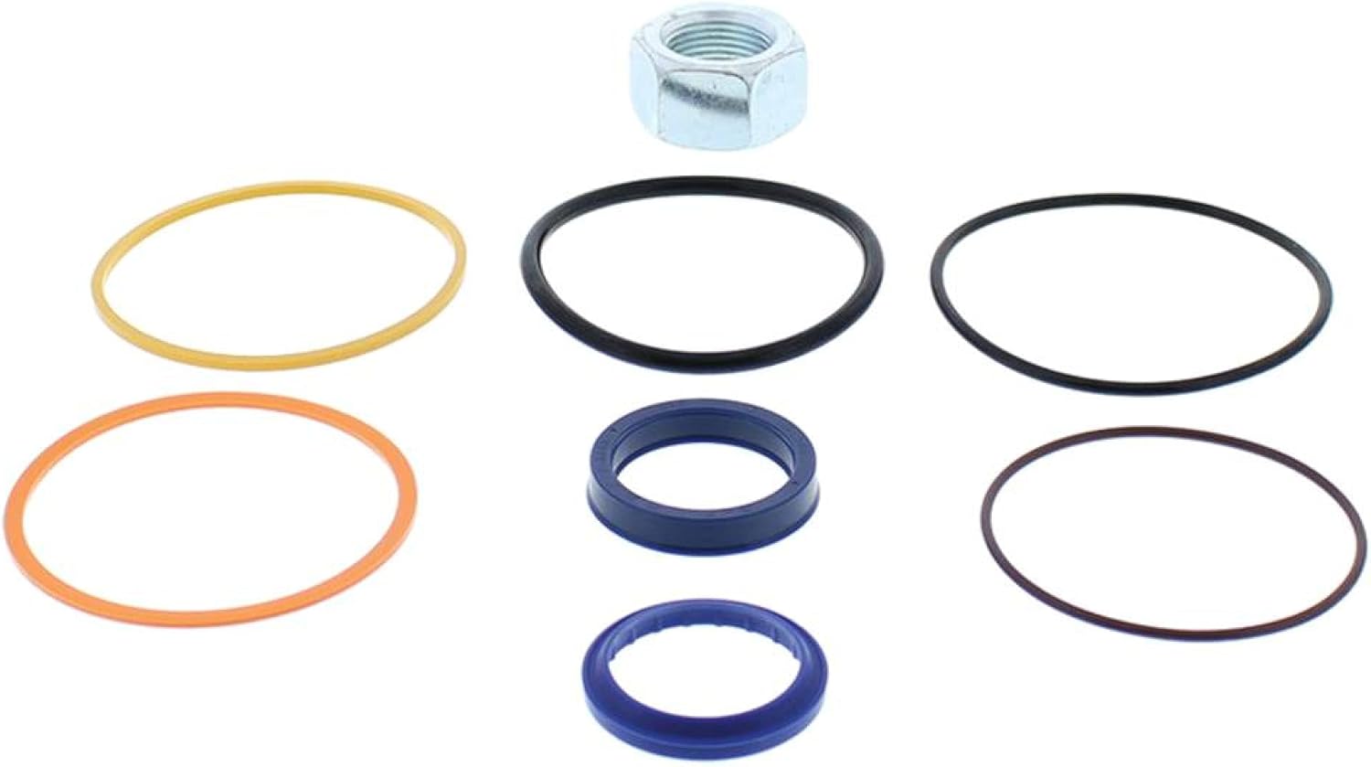 Amazon.com: Complete Tractor 2201-0012 Hydraulic Cylinder Seal Kit ...