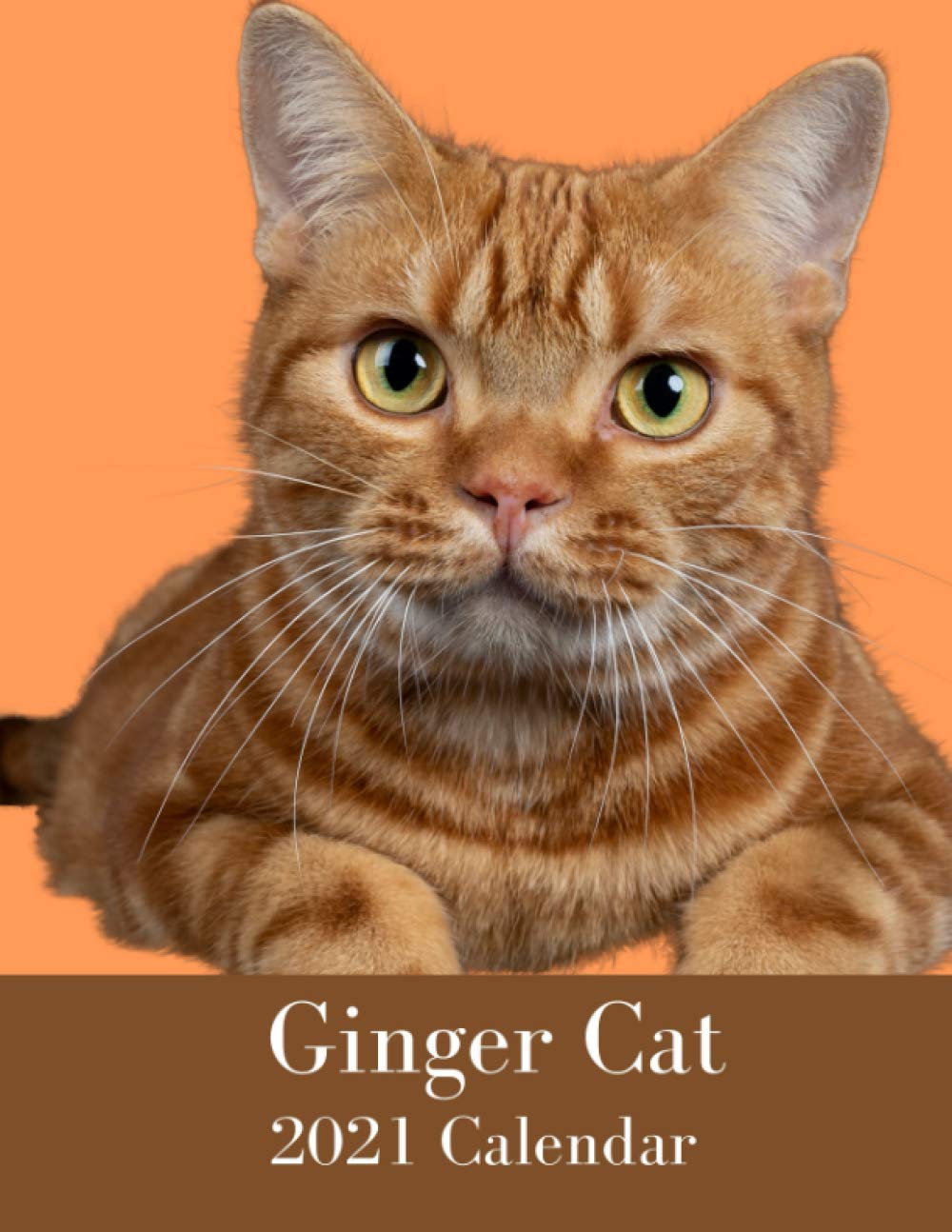 Buy Ginger Cat 2021 : 12 Month Panner with Daily Weekly Month-At-A ...