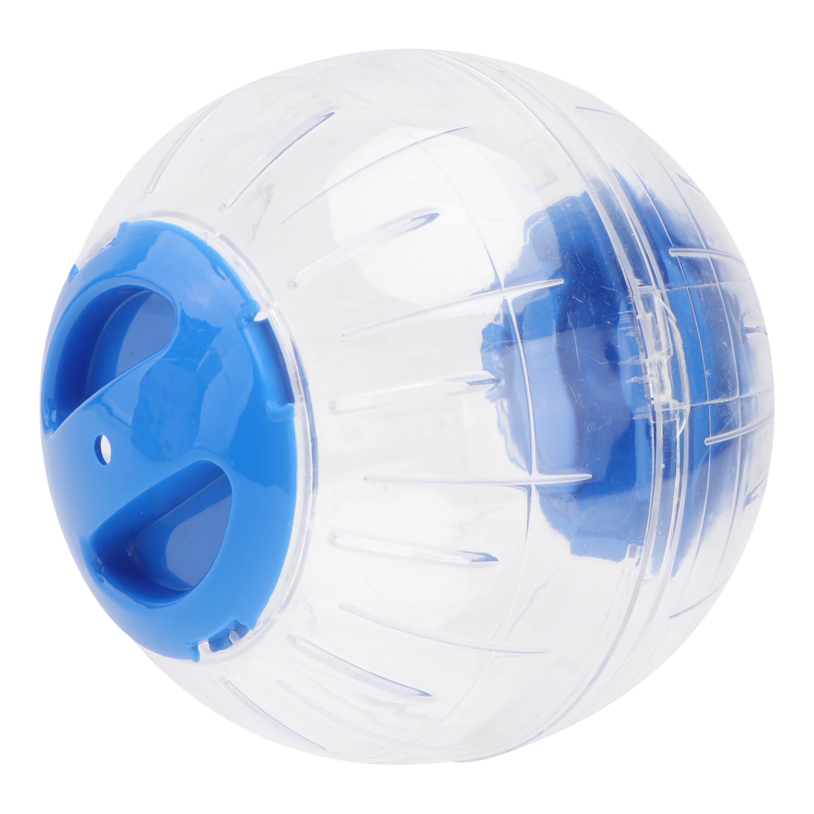 Amazon.com : Hamster Exercise Ball Fitness Ball Toys for Ferret Reptile ...