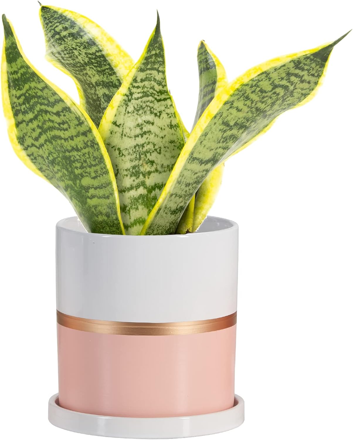 Amazon.com: Ekirlin 5 inch Plant Pot - Ceramic Flower Planters Indoor ...