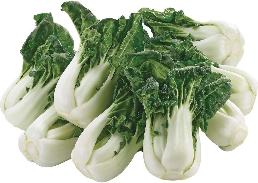 Caribou Seed Company | TOY CHOY PAK CHOI | 40-50 Seeds | Asian/Chinese ...