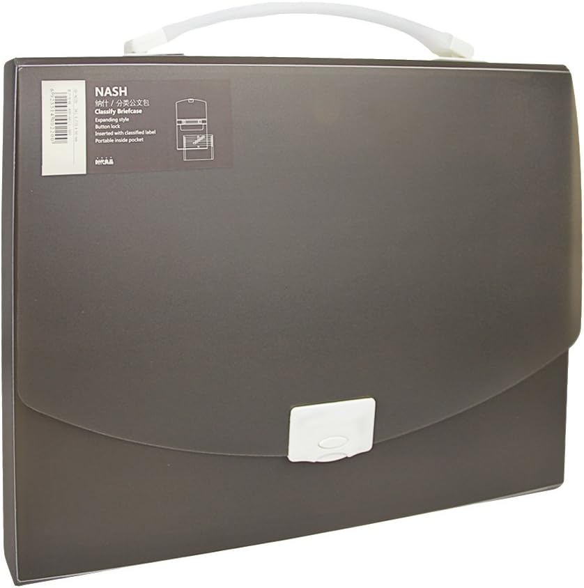 Amazon.com : Removable Expanding Accordion File Folder Bag Case 6 ...