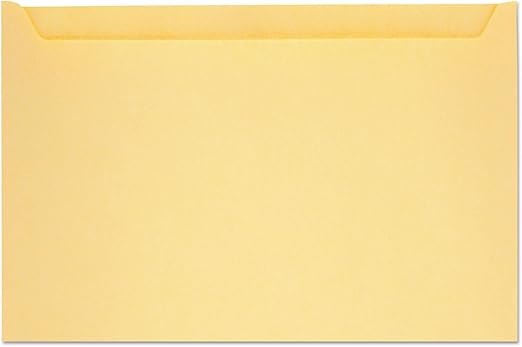 Amazon.com : Quality Park 63872 Paper File Jackets, 5-Inch x 8-1/8-Inch ...
