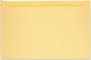 Amazon.com : Quality Park 63872 Paper File Jackets, 5-Inch x 8-1/8-Inch ...