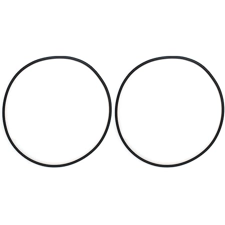 Amazon.com: Hayward DEX2422Z2 Metal Reinforced Filter Seal Replacement ...