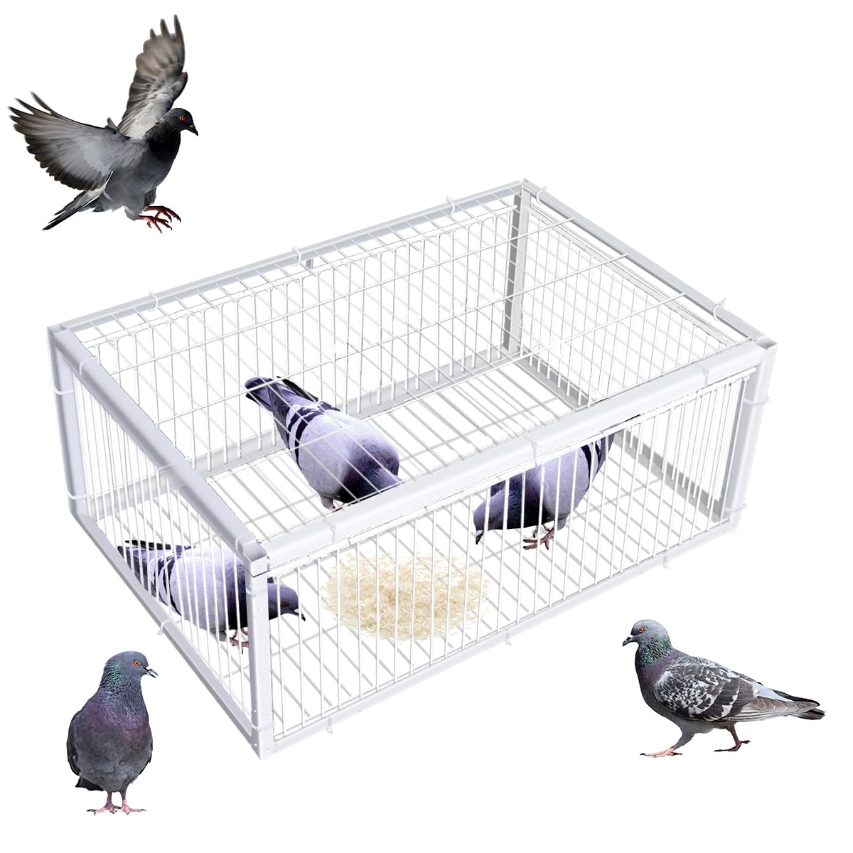 Amazon.com : Four Channel One Way Entrance Pigeon Trap,Escape-Proof ...